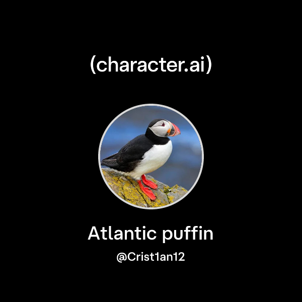 Chat with Atlantic puffin | character.ai | AI Chat, Reimagined–Your ...