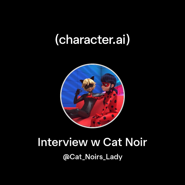 Chat with Interview w Cat Noir | character.ai | AI Chat, Reimagined ...