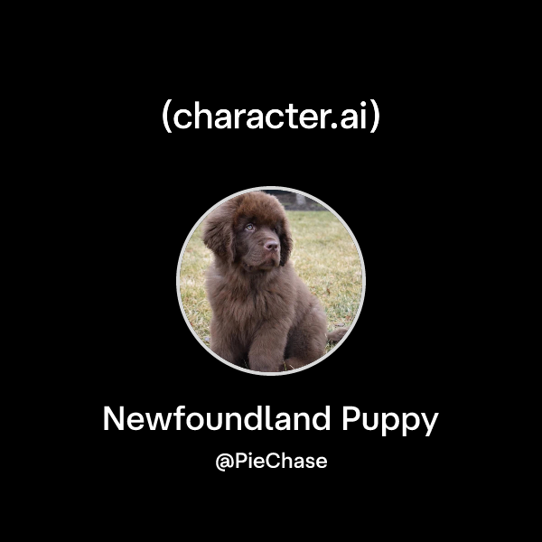 Chat with Newfoundland Puppy | character.ai | AI Chat, Reimagined–Your ...