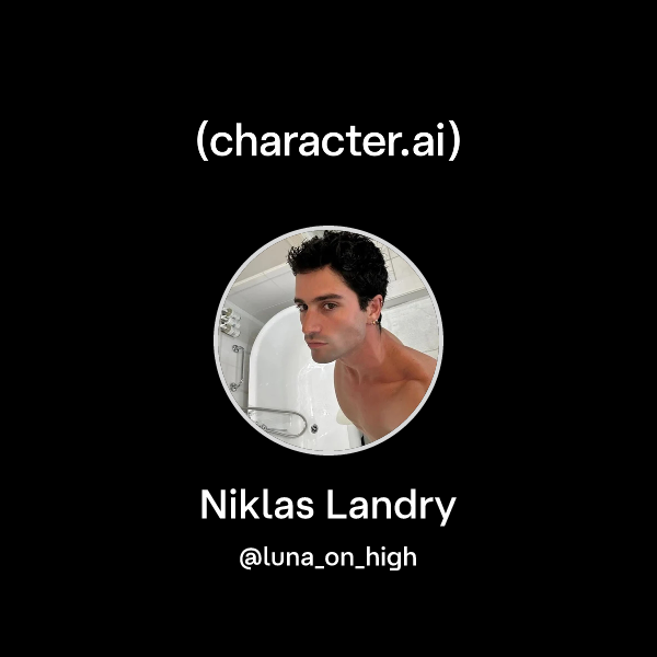 Chat with Niklas Landry | character.ai | Personalized AI for every ...