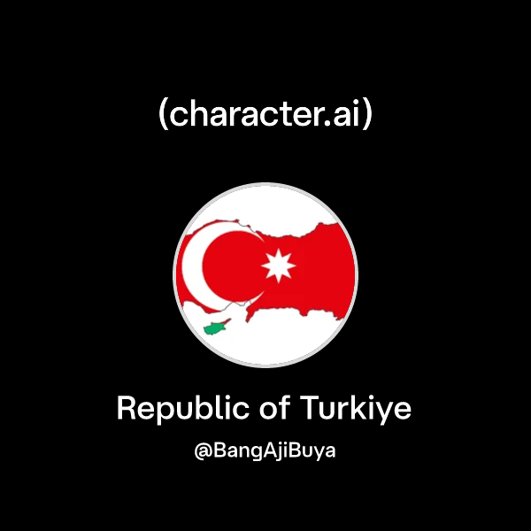 Chat with Republic of Turkiye | character.ai | Personalized AI for ...