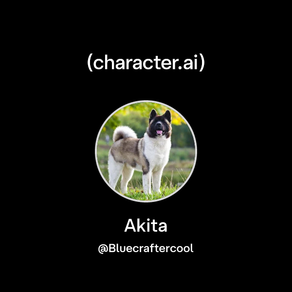 Chat with Akita | character.ai | AI Chat, Reimagined–Your Words. Your ...