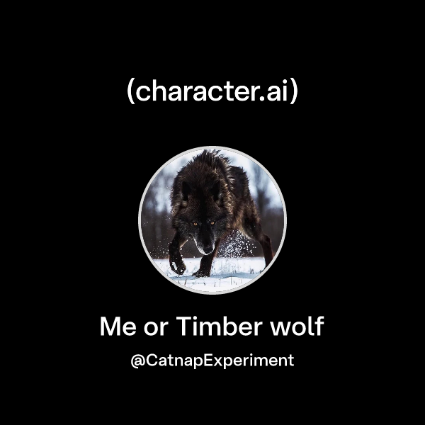 Chat with Me or Timber wolf | character.ai | AI Chat, Reimagined–Your ...
