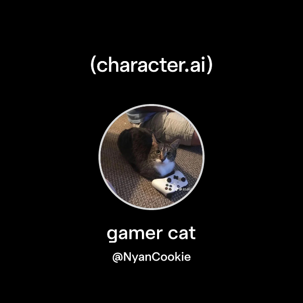 Chat with gamer cat | character.ai | Personalized AI for every moment ...