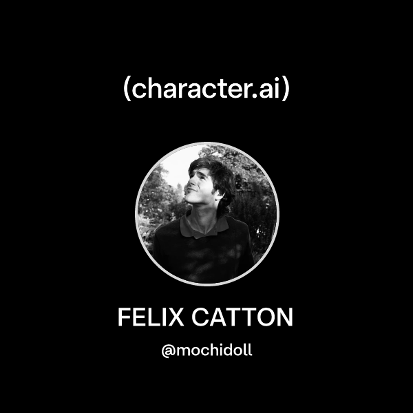 Chat with FELIX CATTON | character.ai | AI Chat, Reimagined–Your Words ...