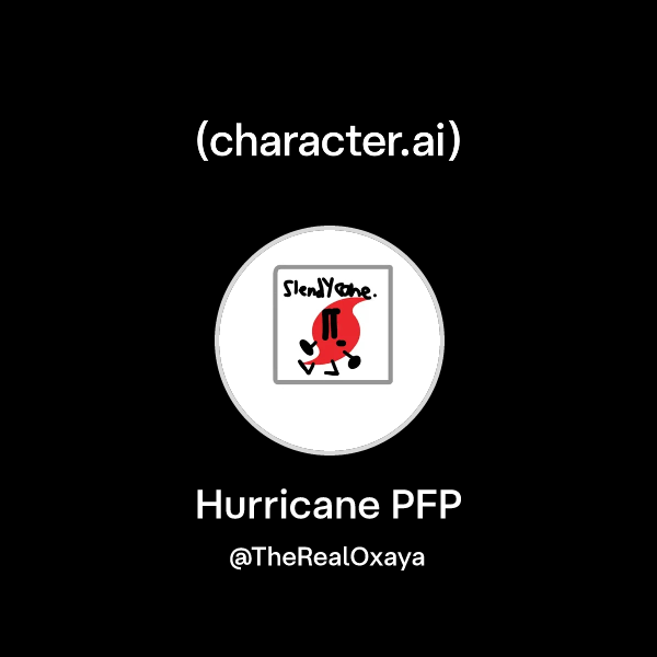 Chat with Hurricane PFP | character.ai | Personalized AI for every ...