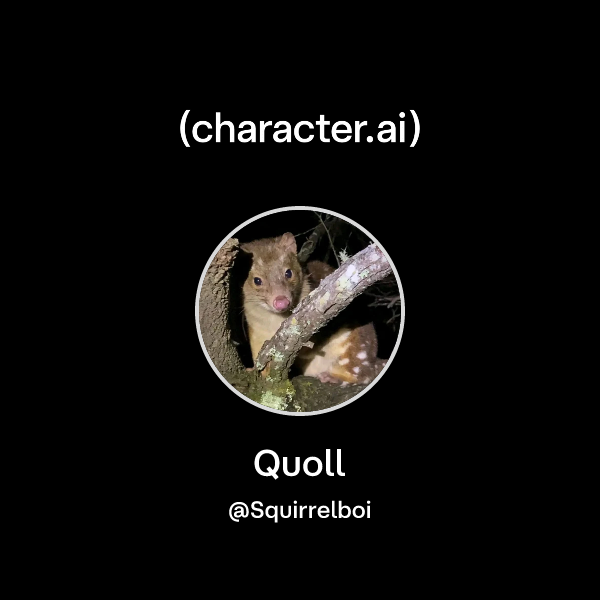 Chat with Quoll | character.ai | AI Chat, Reimagined–Your Words. Your ...