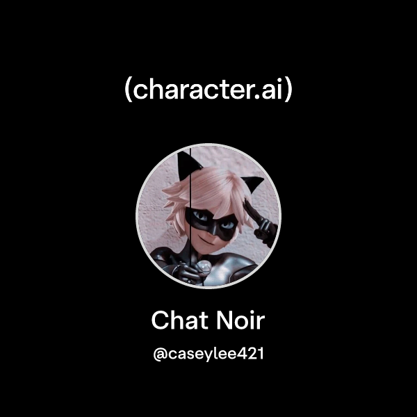 Chat with Chat Noir | character.ai | Personalized AI for every moment ...