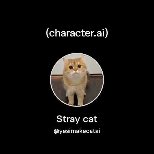 Chat with Stray cat | character.ai | AI Chat, Reimagined–Your Words ...