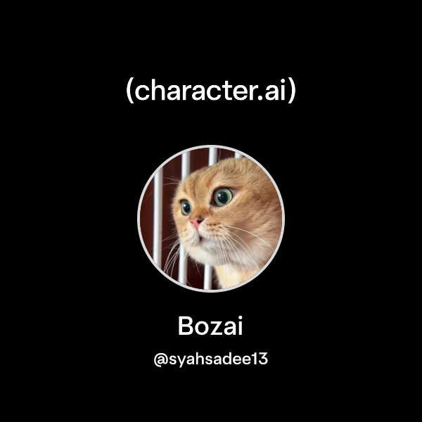 Chat with Bozai | character.ai | Personalized AI for every moment of ...