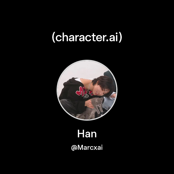 Chat with Han | character.ai | AI Chat, Reimagined–Your Words. Your World.