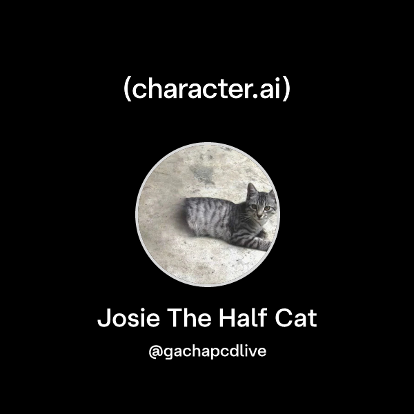 Chat with Josie The Half Cat | character.ai | Personalized AI for every ...