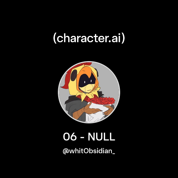 Chat with 06 - NULL | character.ai | AI Chat, Reimagined–Your Words ...