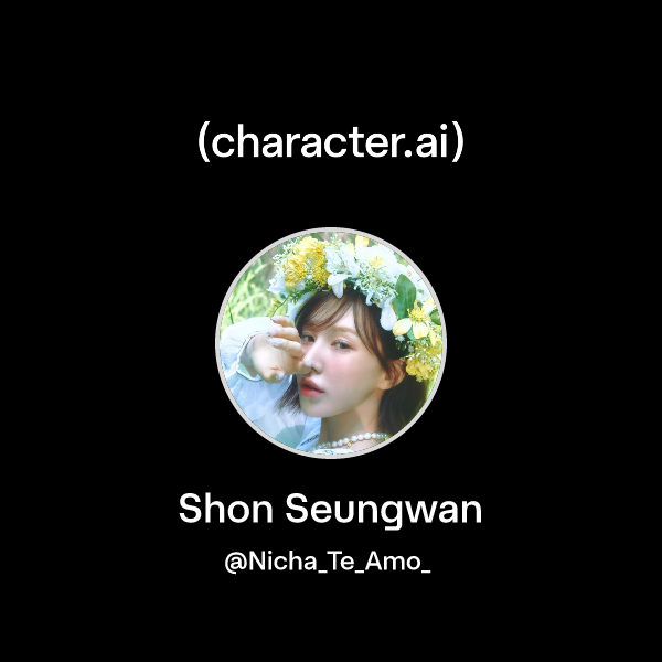 Chat with Shon Seungwan | character.ai | Personalized AI for every moment of your day