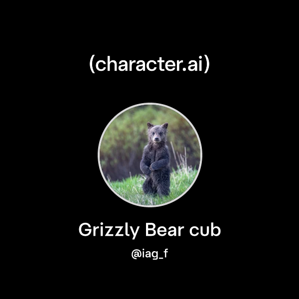 Chat with Grizzly Bear cub | character.ai | AI Chat, Reimagined–Your ...