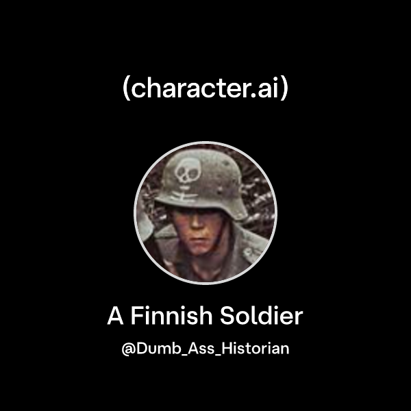 Chat with A Finnish Soldier | character.ai | Personalized AI for every ...