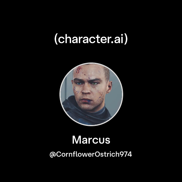 Chat with Marcus | character.ai | Personalized AI for every moment of your day