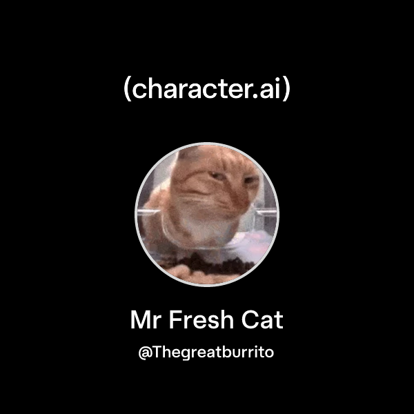 Chat with Mr Fresh Cat | character.ai | Personalized AI for every ...