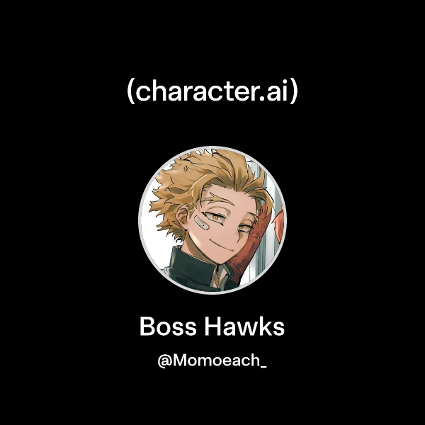 Chat with Boss Hawks | character.ai | Personalized AI for every moment ...