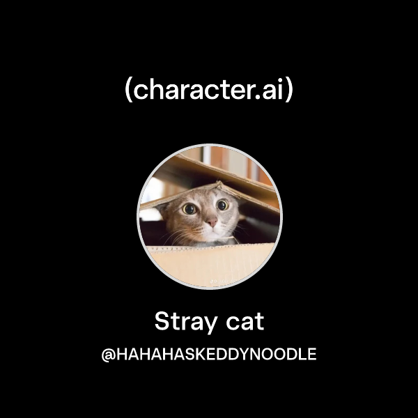 Chat with Stray cat | character.ai | Personalized AI for every moment ...