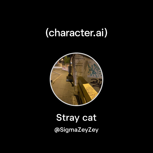 Chat with Stray cat | character.ai | Personalized AI for every moment ...