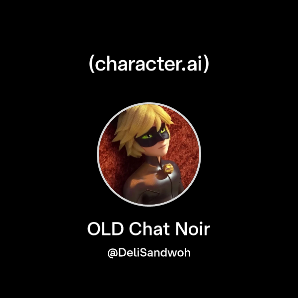 Chat with OLD Chat Noir | character.ai | AI Chat, Reimagined–Your Words ...