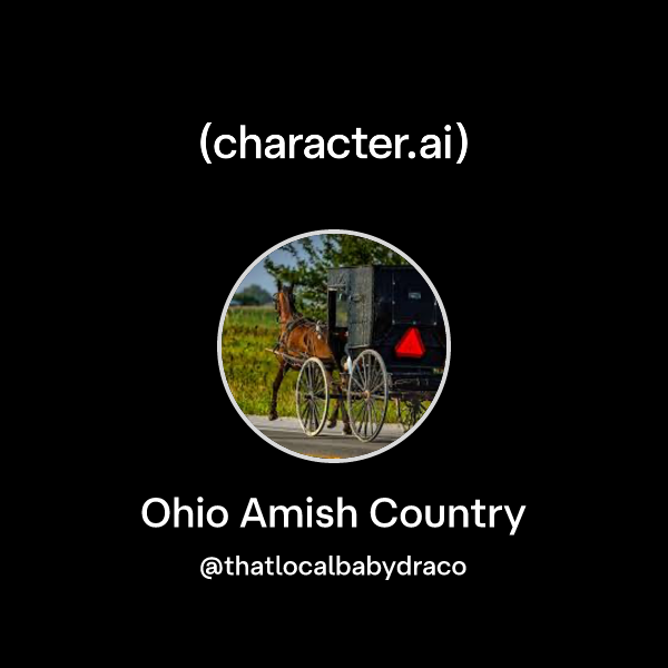 Chat with Ohio Amish Country | character.ai | AI Chat, Reimagined–Your ...