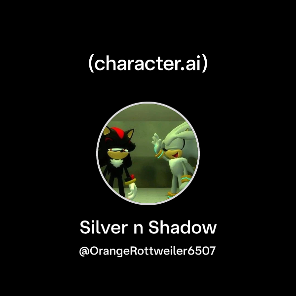 Chat with Silver n Shadow | character.ai | AI Chat, Reimagined–Your ...