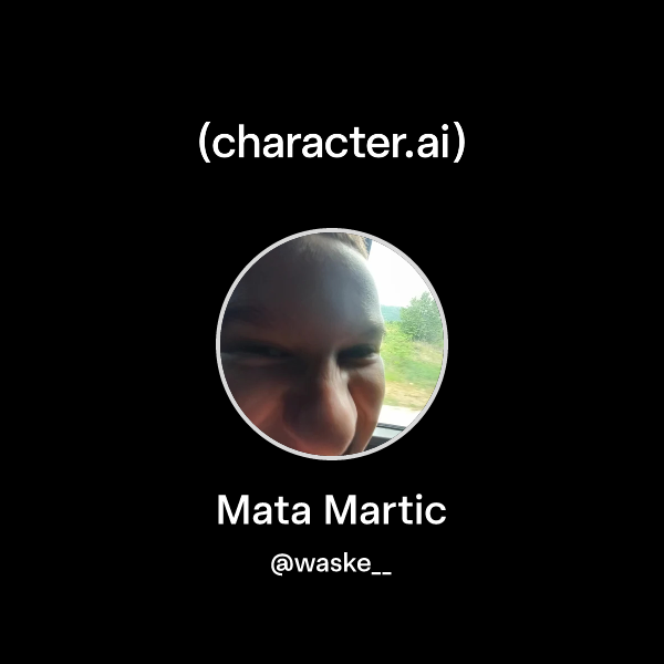 Chat with Mata Martic | character.ai | Personalized AI for every moment ...