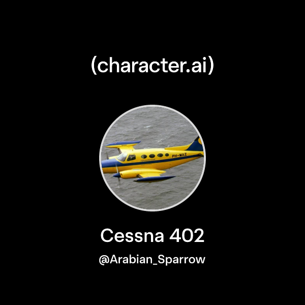 Chat with Cessna 402 | character.ai | AI Chat, Reimagined–Your Words ...