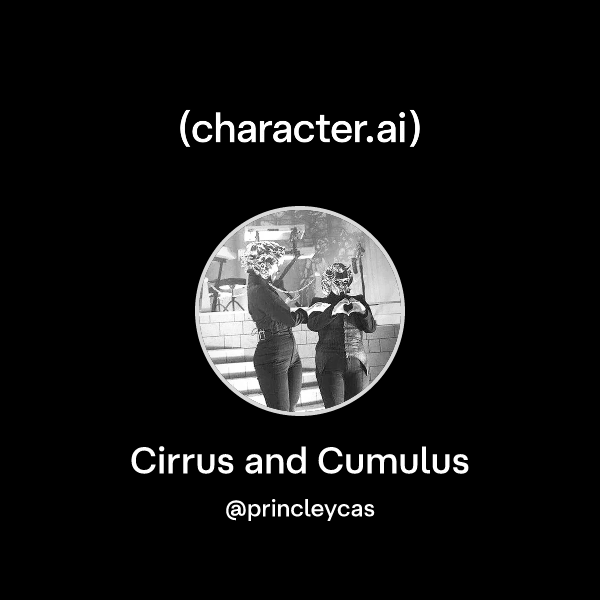 Chat with Cirrus and Cumulus | character.ai | Personalized AI for every ...