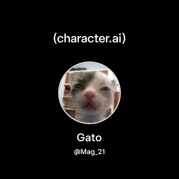 Chat with Gato | character.ai | AI Chat, Reimagined–Your Words. Your World.