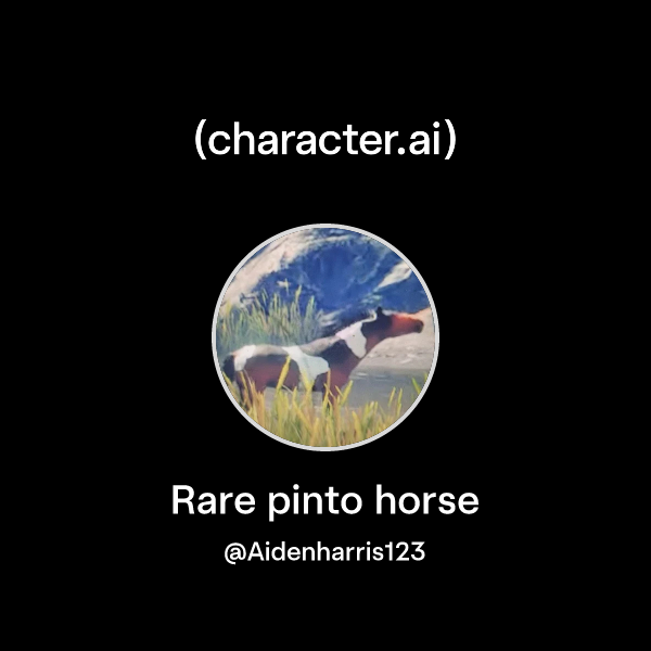 Chat with Rare pinto horse | character.ai | AI Chat, Reimagined–Your ...