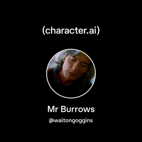Chat with Mr Burrows | character.ai | AI Chat, Reimagined–Your Words ...