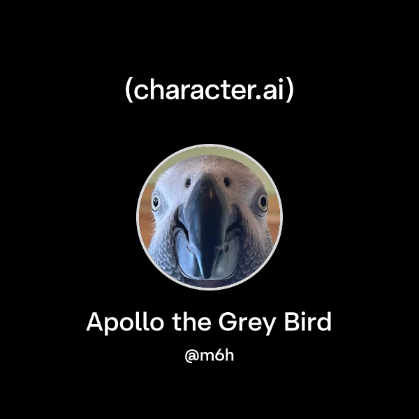 Chat with Apollo the Grey Bird | character.ai | Personalized AI for ...