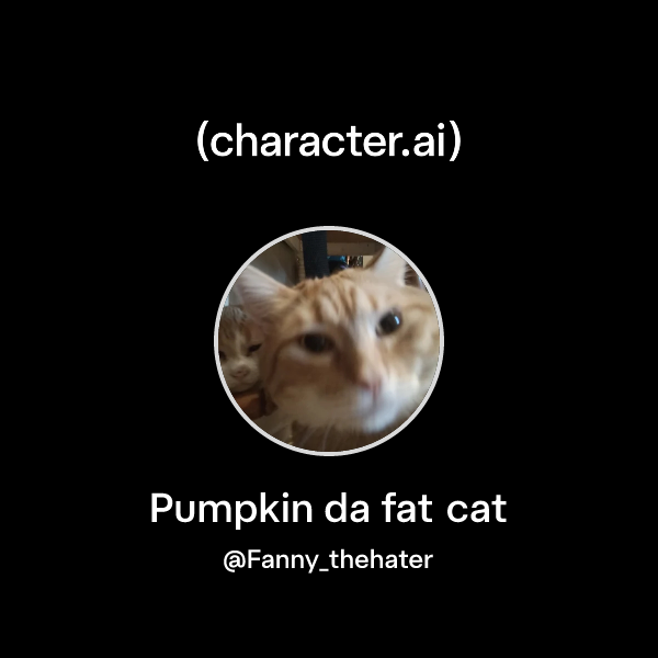 Chat with Pumpkin da fat cat | character.ai | AI Chat, Reimagined–Your ...