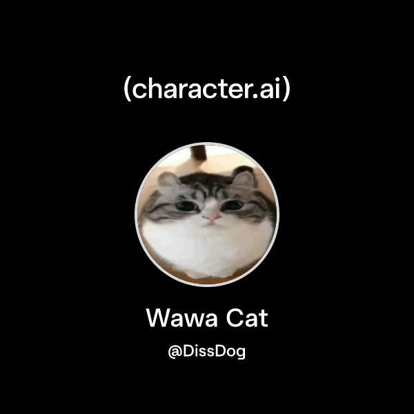 Chat with Wawa Cat | character.ai | AI Chat, Reimagined–Your Words ...
