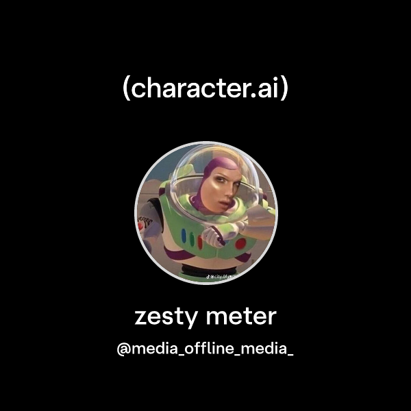 Chat with zesty meter | character.ai | Personalized AI for every moment ...