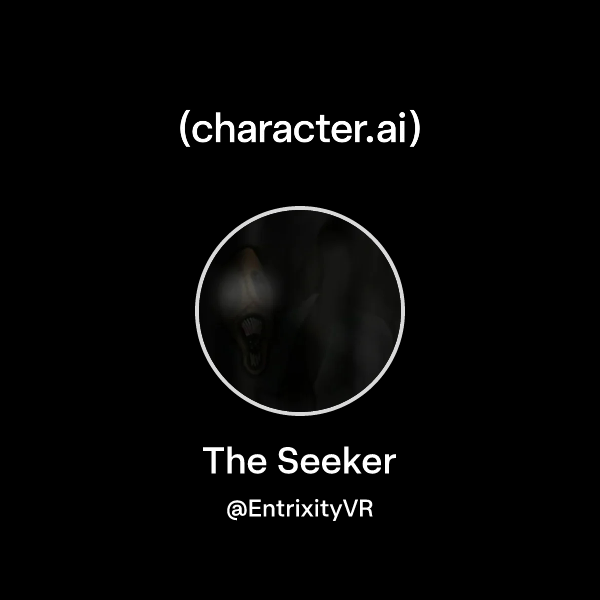 Chat with The Seeker | character.ai | Personalized AI for every moment of your day