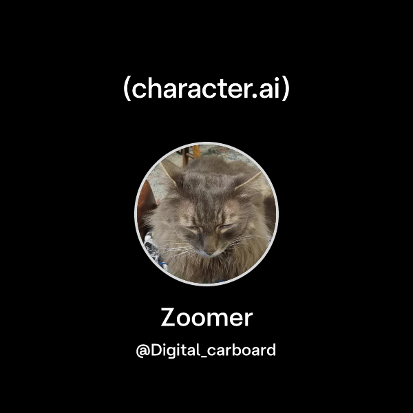 Chat with Zoomer | character.ai | AI Chat, Reimagined–Your Words. Your ...
