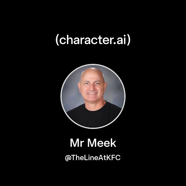 Chat with Mr Meek | character.ai | Personalized AI for every moment of ...