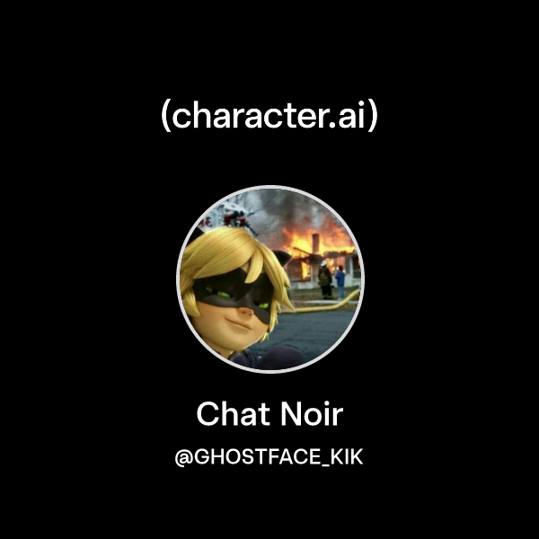 Chat with Chat Noir | character.ai | Personalized AI for every moment ...