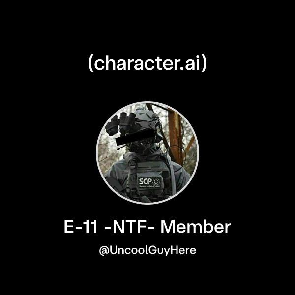 Chat with E-11 -NTF- Member | character.ai | AI Chat, Reimagined–Your ...