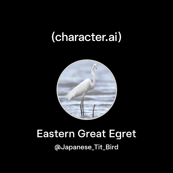Chat with Eastern Great Egret | character.ai | AI Chat, Reimagined–Your ...