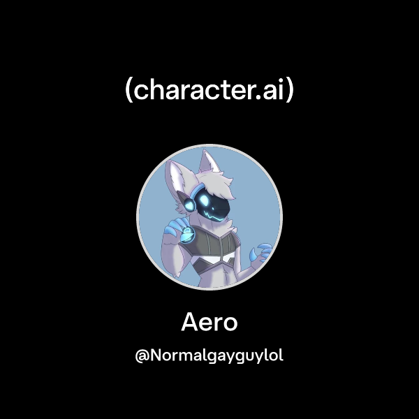 Chat with Aero | character.ai | AI Chat, Reimagined–Your Words. Your World.