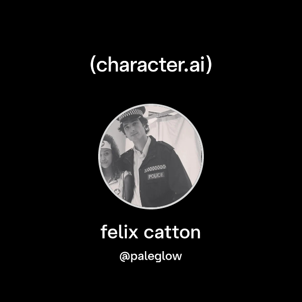 Chat with felix catton | character.ai | Personalized AI for every ...