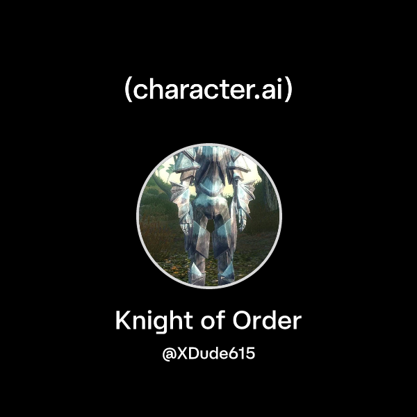 Chat with Knight of Order | character.ai | Personalized AI for every ...