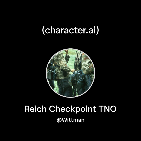 Chat with Reich Checkpoint TNO | character.ai | AI Chat, Reimagined ...