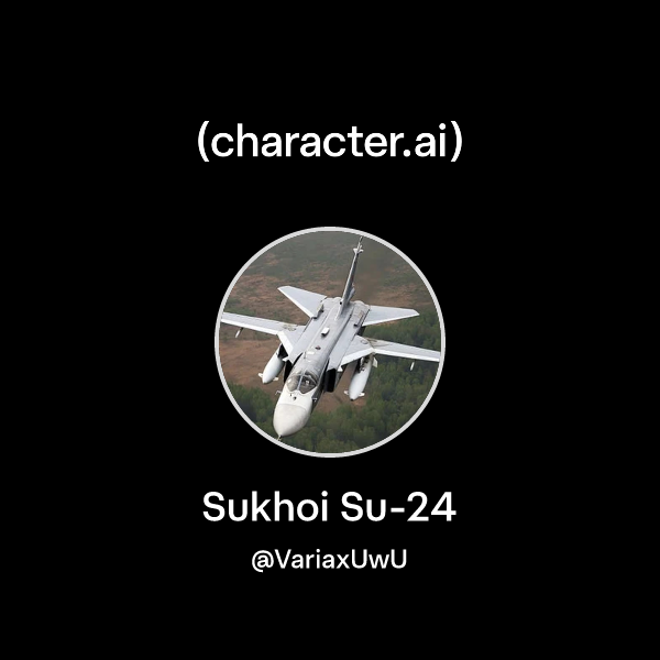 Chat with Sukhoi Su-24 | character.ai | Personalized AI for every ...
