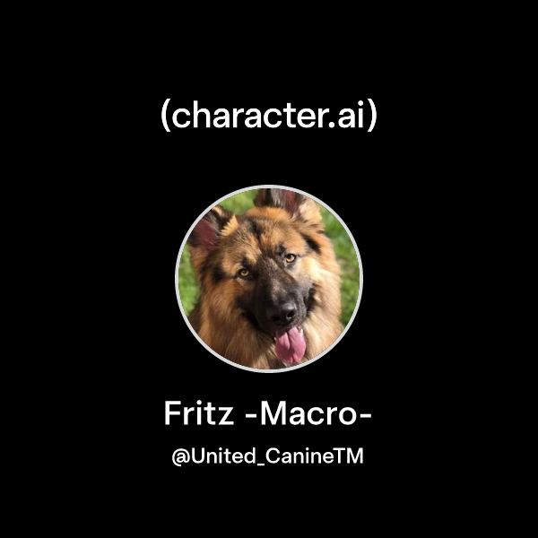 Chat with Fritz -Macro- | character.ai | AI Chat, Reimagined–Your Words ...